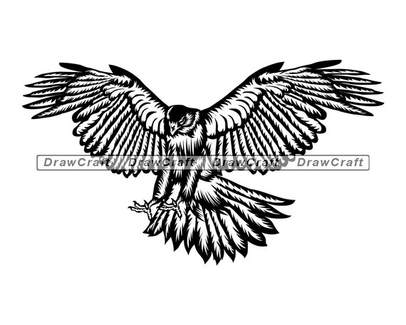 Hawk Dxf Hawk Svg Hawk Outline SVG Hawk Eps Hawk Png Hawk Vector Hawk ...