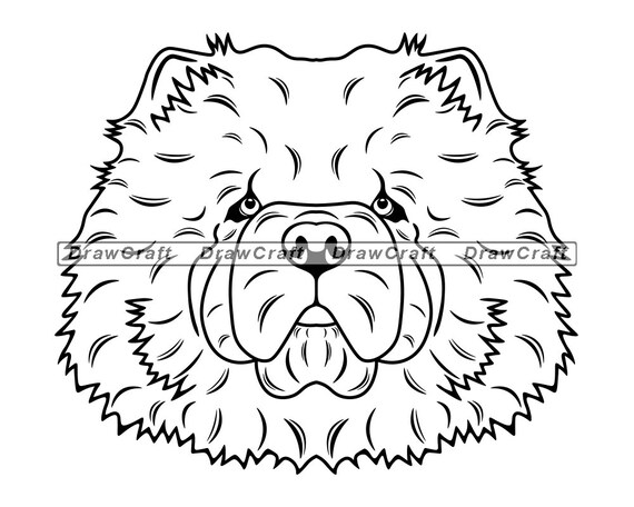 Chow Chow Head SVG Chow Chow Svg Dog Svg Chow Chow Cut | Etsy Chow Chow Head SVG Chow Chow Svg Dog Svg Chow Chow Cut | Etsy