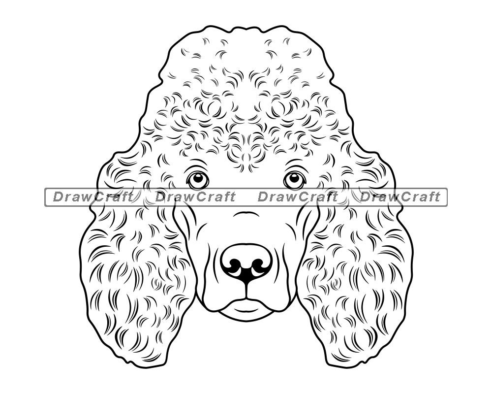 Poodle Head SVG Poodle Svg Dog Face Svg Dog Svg Poodle Cut | Etsy