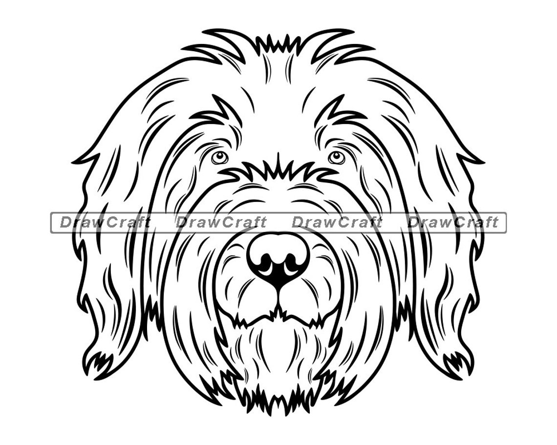 Briard Head SVG Briard Svg Dog Svg Dog Face Svg Briard Cut | Etsy