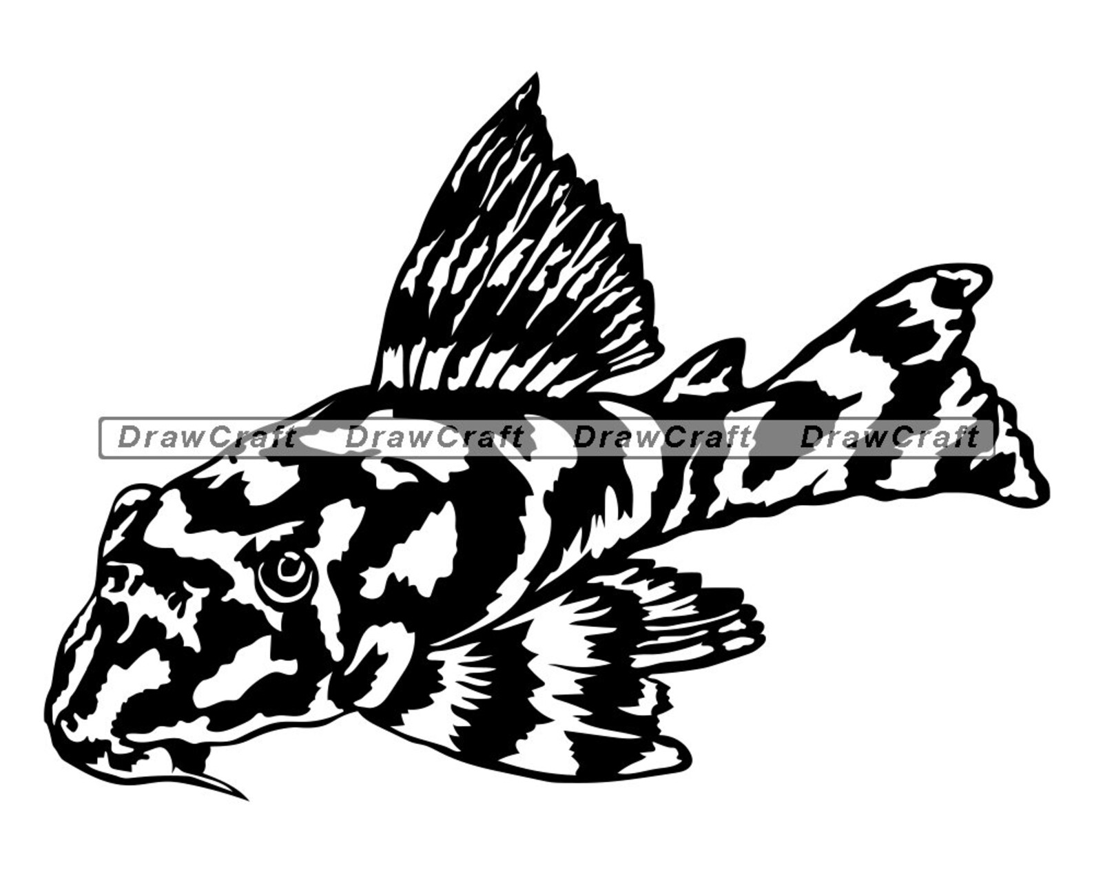 Clown Pleco Svg Fish Svg Aquarium Fish Svg Clown Pleco Cut | Etsy Israel