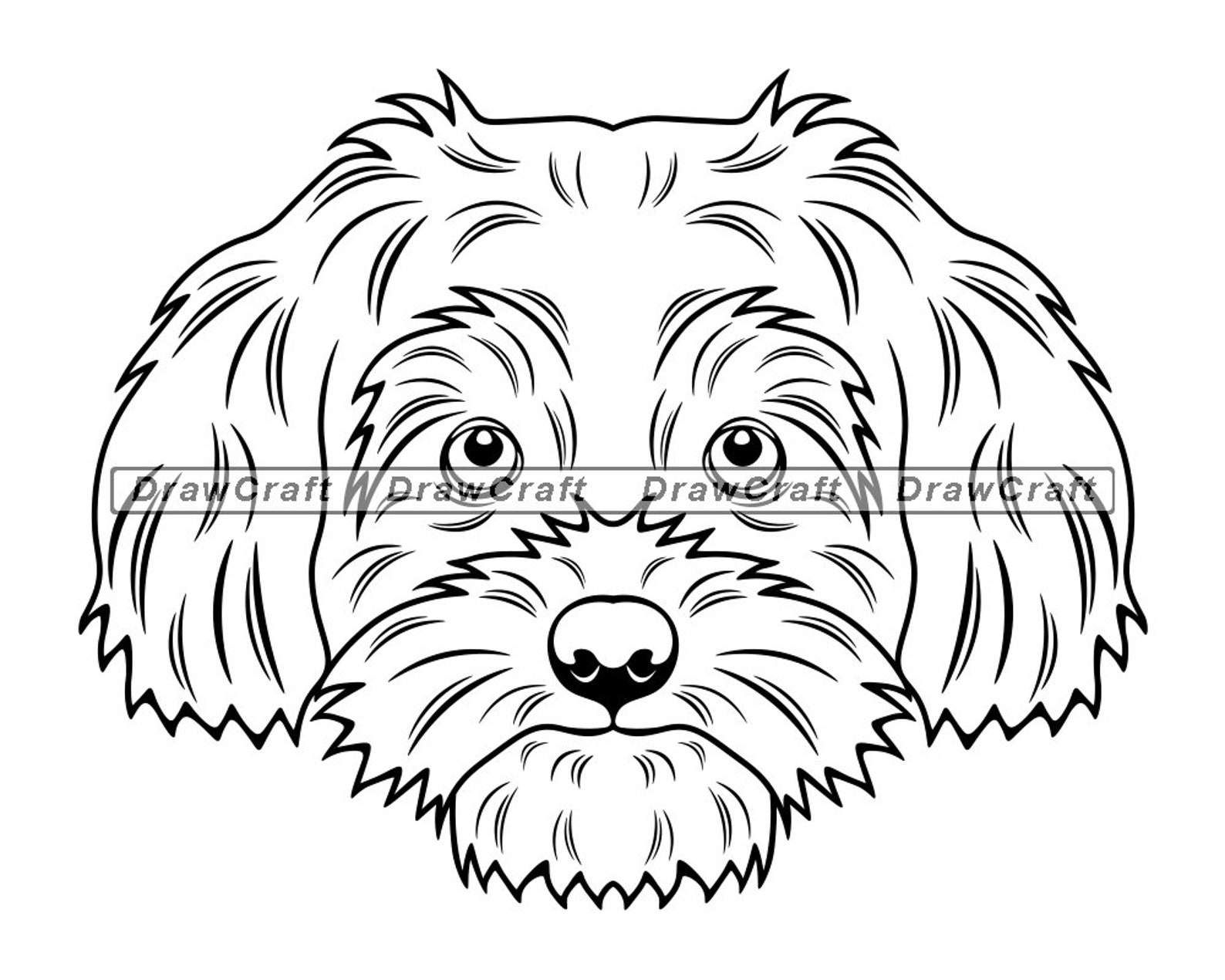 Shihpoo Head SVG Shihpoo Svg Dog Svg Shihpoo Cut Files | Etsy