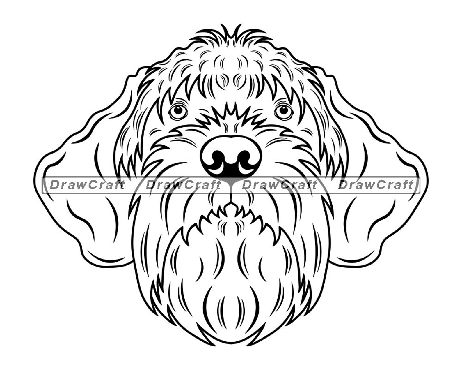 Korthals Griffon Head SVG Korthals Griffon Svg Dog Svg Dog | Etsy