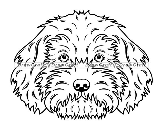 Cavapoo Head SVG Cavoodle Svg Cavapoo Svg Dog Svg Cavapoo | Etsy