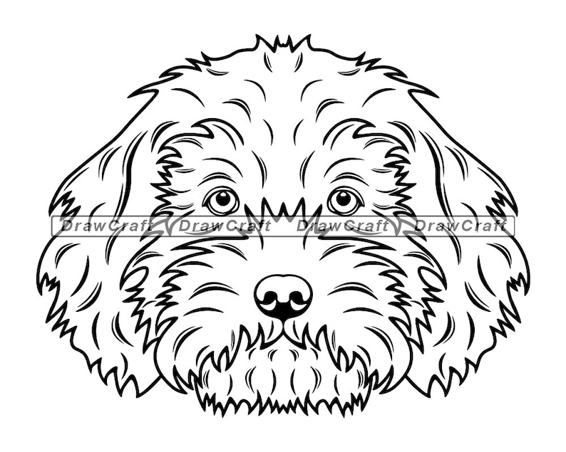 Cavapoo Head SVG Cavoodle Svg Cavapoo Svg Dog Svg Cavapoo | Etsy
