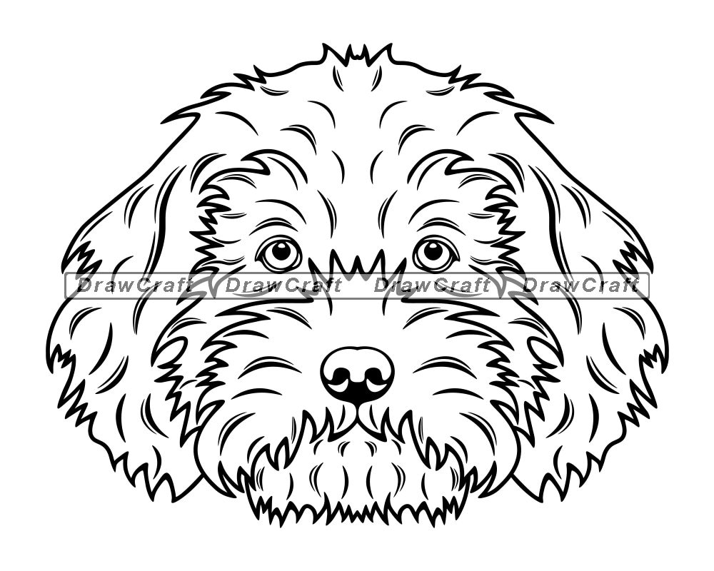 Dog Svg Cavoodle Files for Cricut Png Cavapoo Svg Cavoodle SVG Cavoodle ...