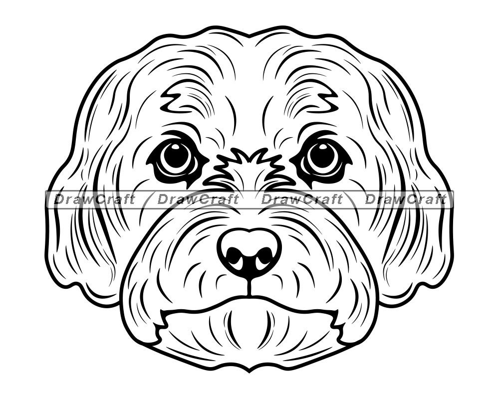 Maltese Head SVG Maltese Svg Dog Svg Maltese Cut Files | Etsy
