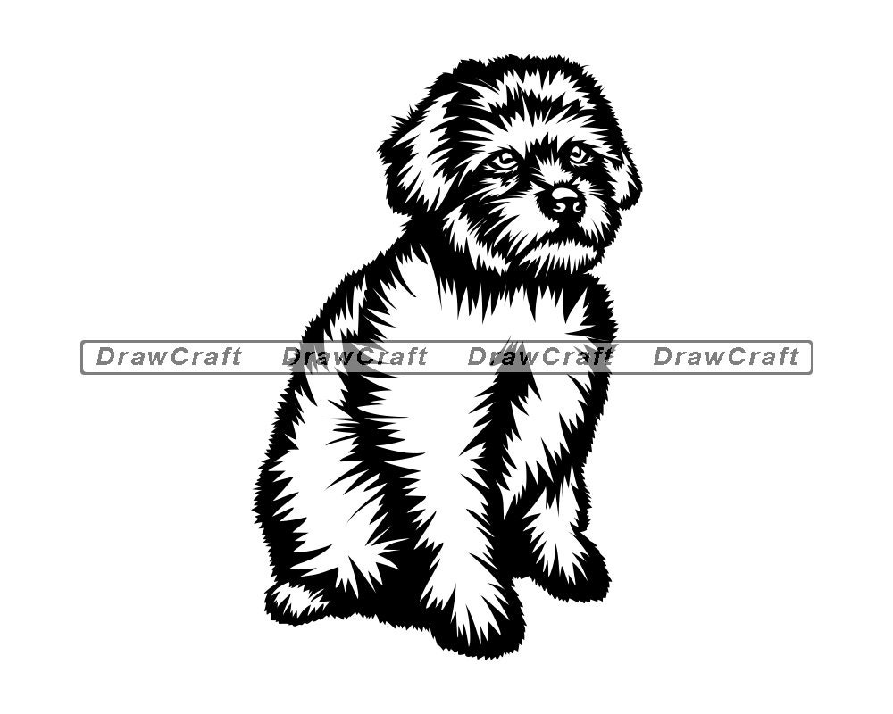 Free Cavapoo Pages Coloring Pages