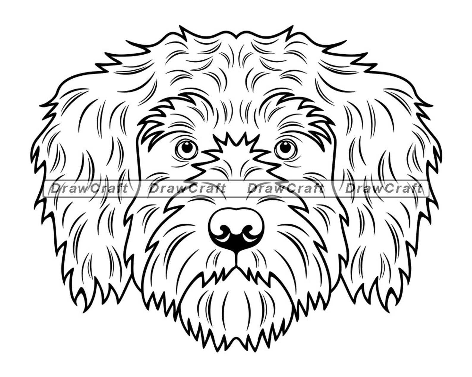 Schnoodle Head SVG Schnoodle Svg Dog Svg Schnoodle Cut | Etsy