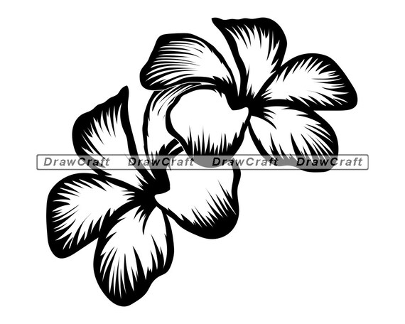 Craft Supplies & Tools Visual Arts Collage Frangipani Clipart ...