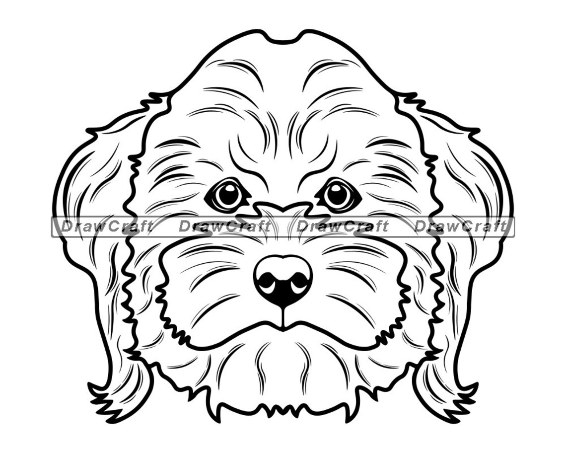 Maltipoo Head SVG Maltipoo Svg Dog Svg Maltipoo Cut Files | Etsy