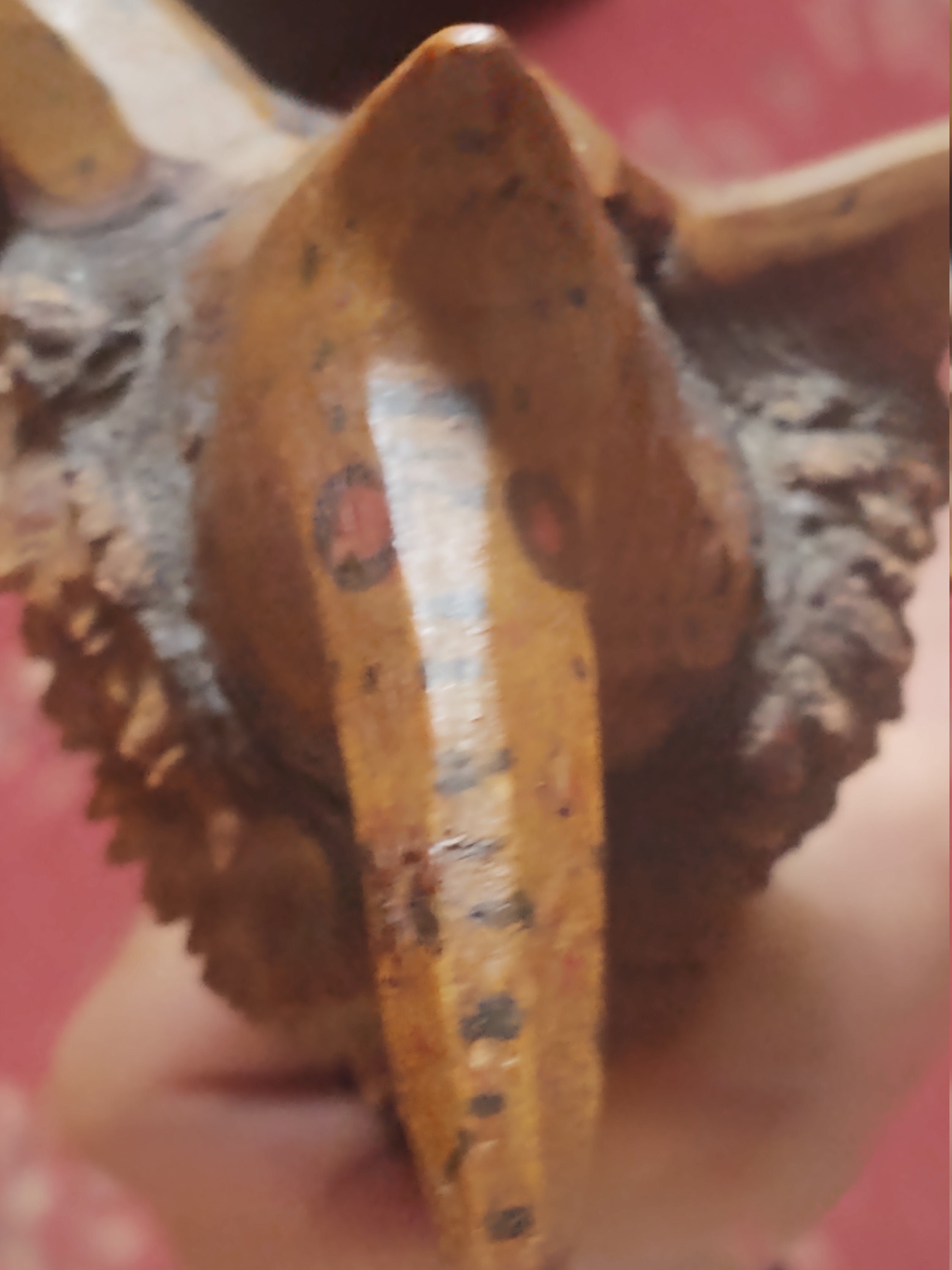 Penobscot Native American Indian Root Club - Etsy