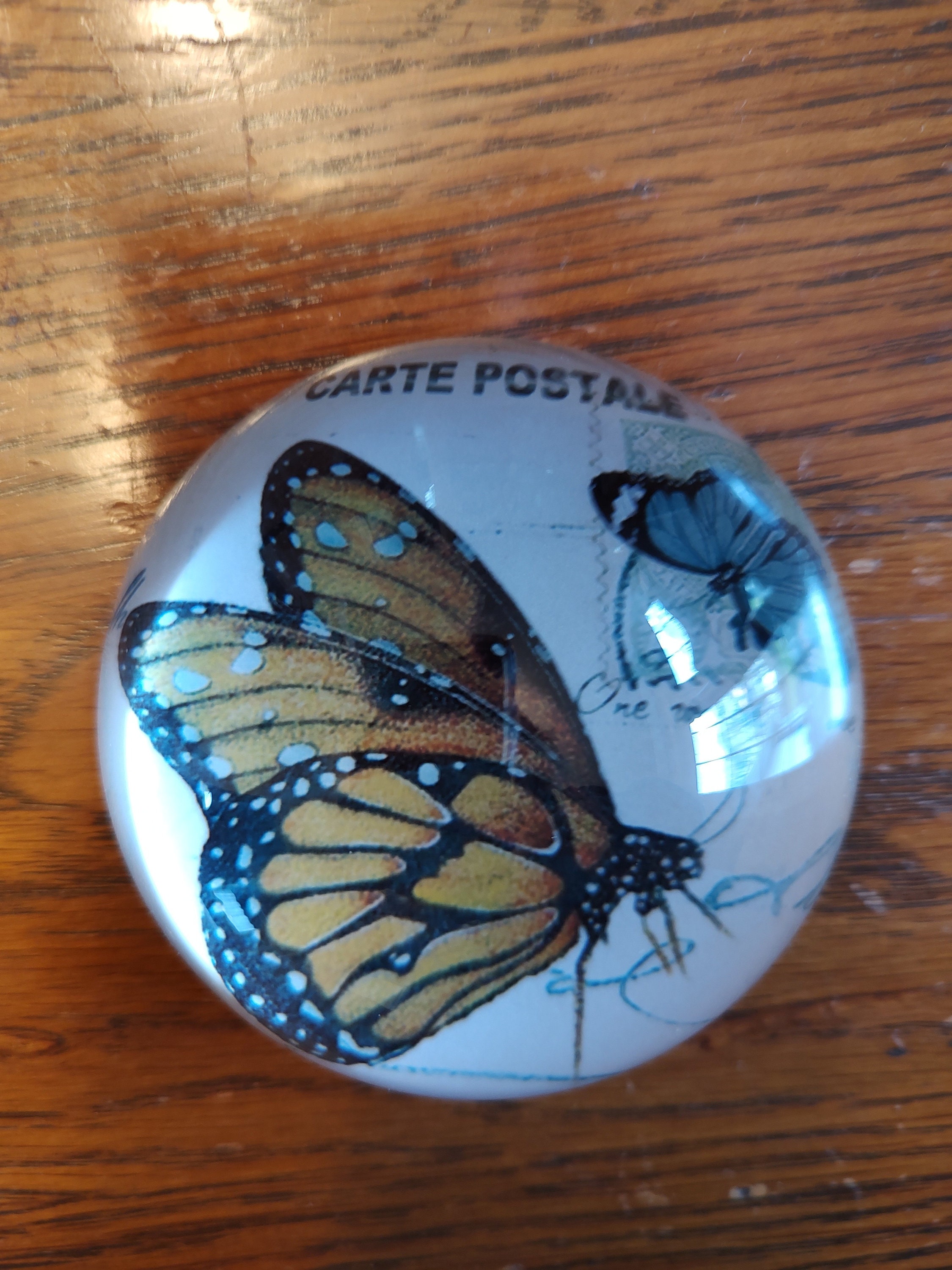 Monarch Butterfly Crystal Dome Paperweight - Etsy