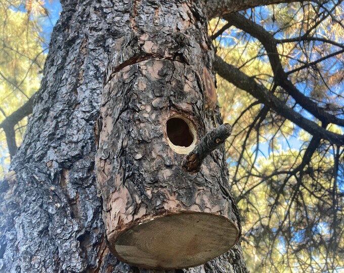 BIRD LOG! - Hand Made Bird Houses - Etsy