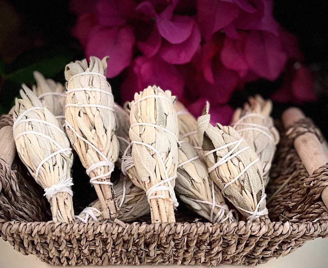 Organic Jerusalem Sage Smudge Bundle: Wild Harvested, Intuition Ritual ...