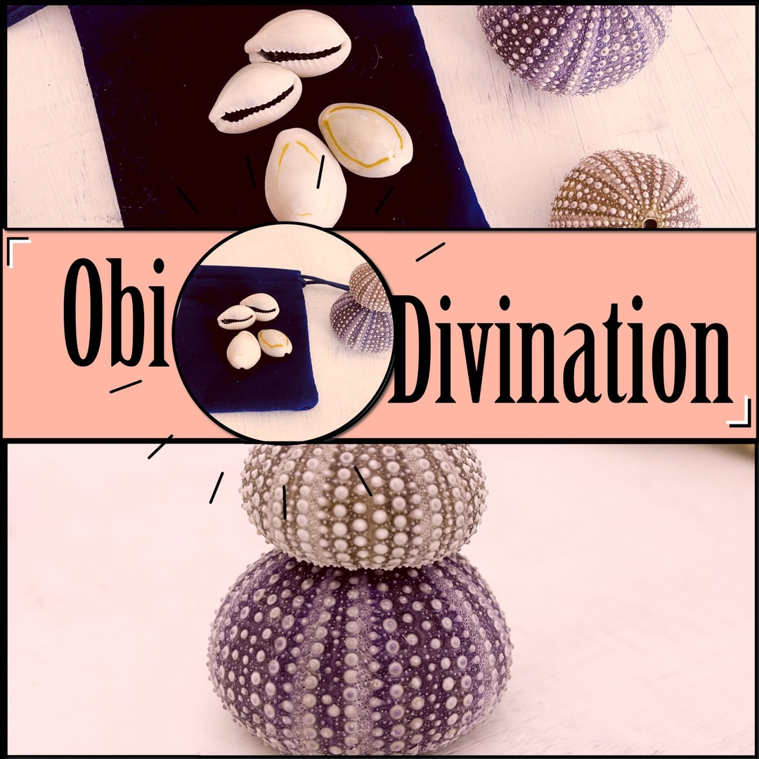 Obi Divination Set / Cowrie Shellsnew Age Gift - Etsy