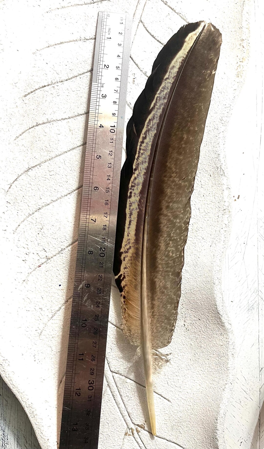 Bald Eagle Feather Cm | Sacred and Powerful Energy Tool Symbol of ...