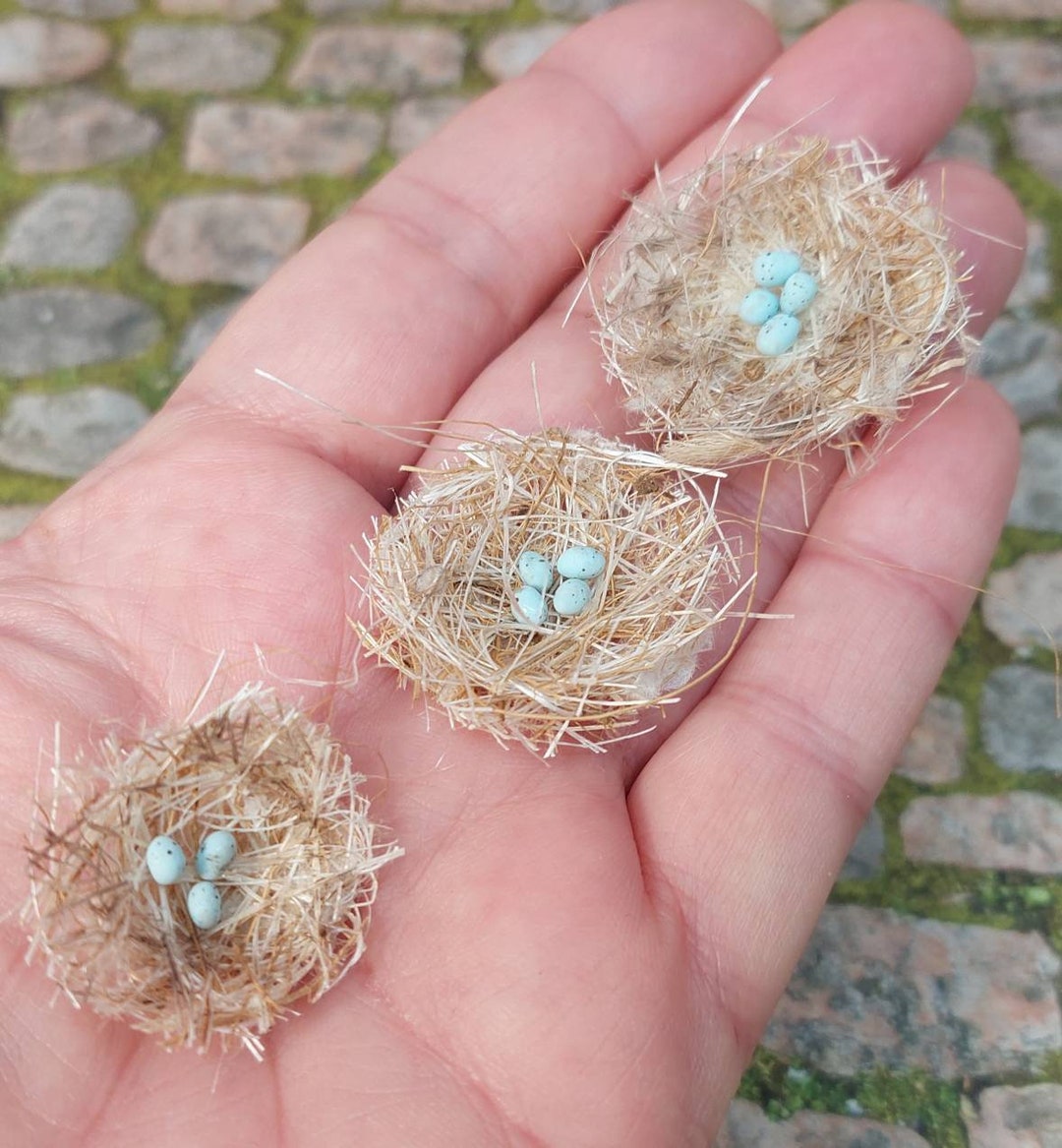 Miniature Bird Nests Scale 1/12 - Etsy