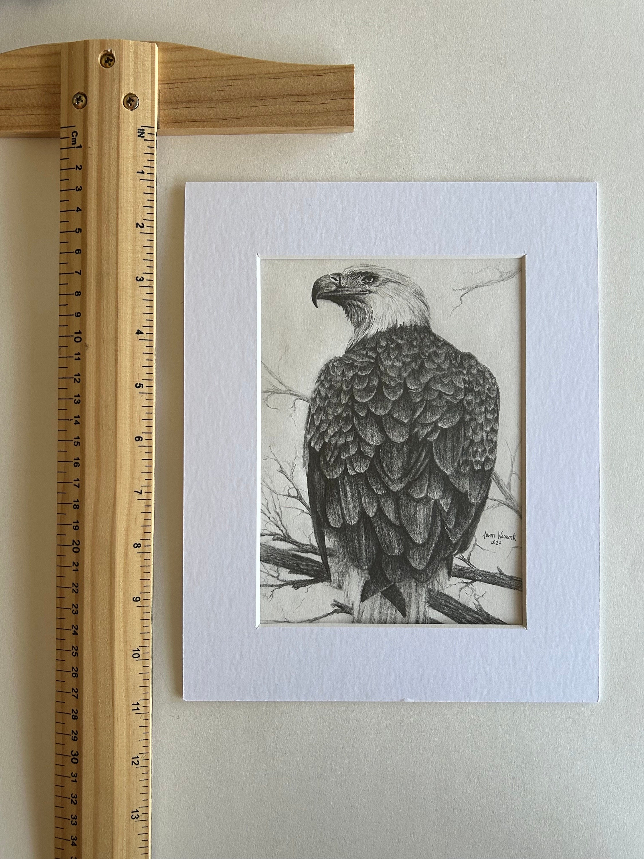 Bald Eagle - Etsy