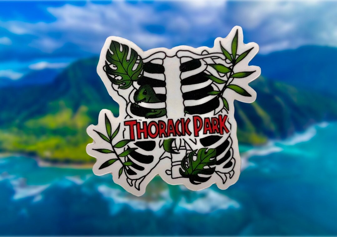 Mini Vinyl “thoracic Park” Healthcare Sticker | Medical Humor ...
