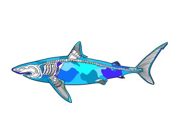 Shark Skeleton - Etsy
