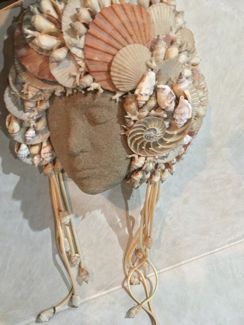 Aphrodite Shell wall hanging sculpture rare unique item | Etsy