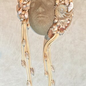 Aphrodite Shell wall hanging sculpture rare unique item | Etsy