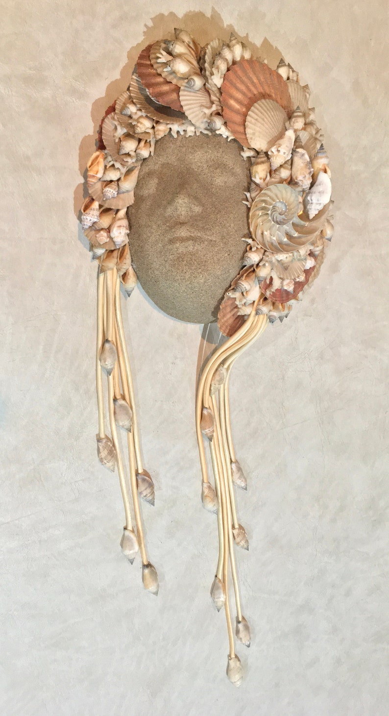 Aphrodite Shell wall hanging sculpture rare unique item | Etsy