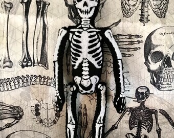 Skeleton Art Doll | Etsy