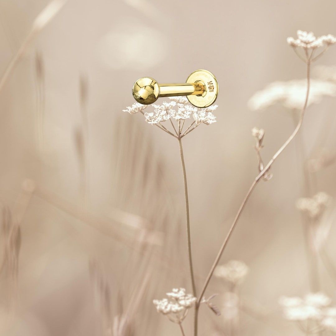 14K Solid Gold Labret Stud With Gold Ball | Cartilage, Tragus, Helix ...