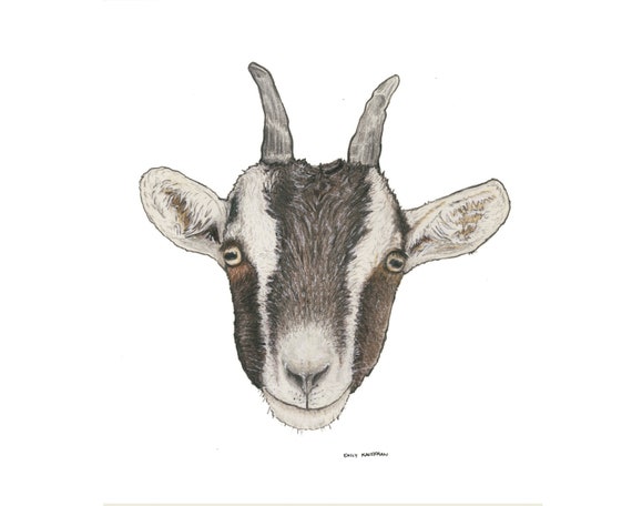 Goat Colored Pencil Drawing | Etsy