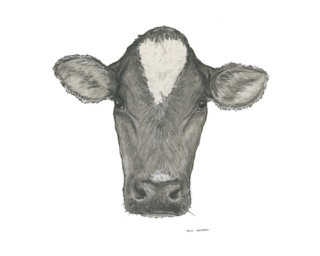 Cow Colored Pencil Drawing - Etsy