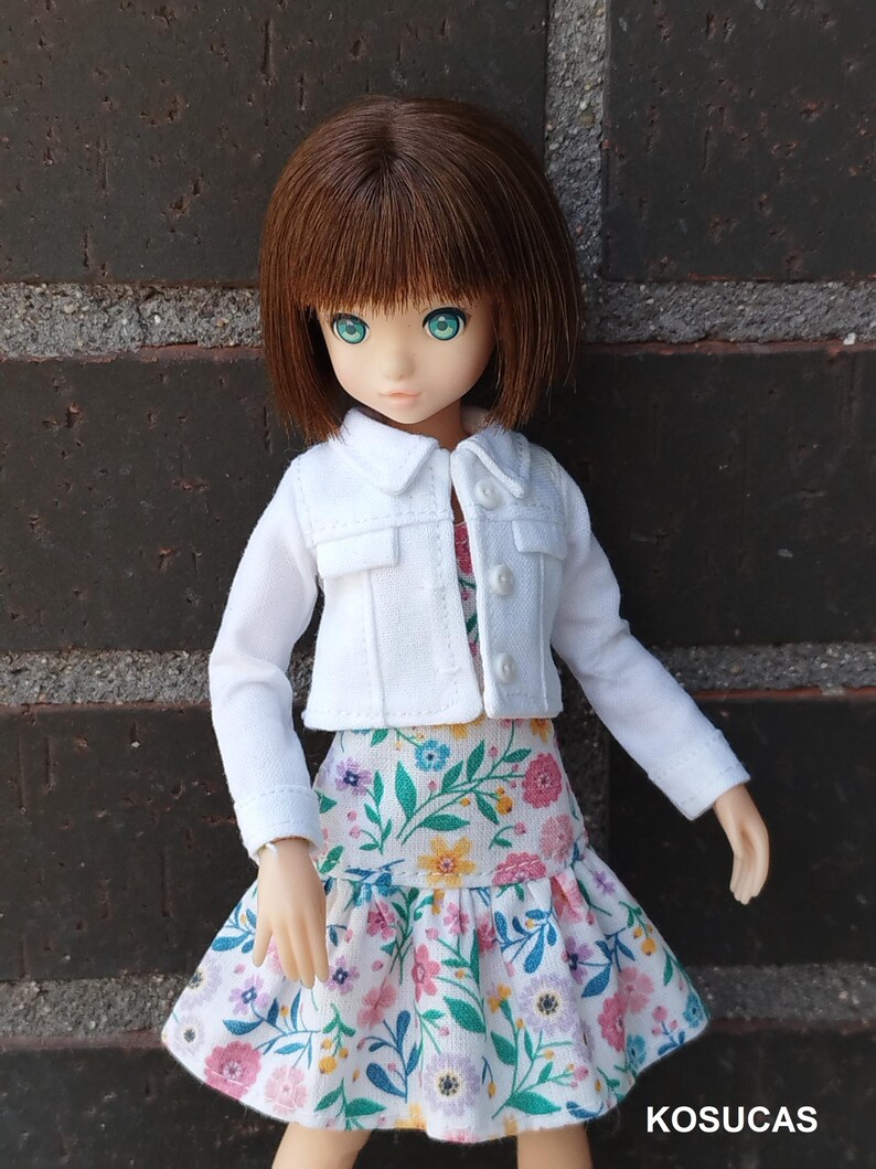 PDF Pattern to Make the Models of the Photo for Ruruko and Azone Dolls ...