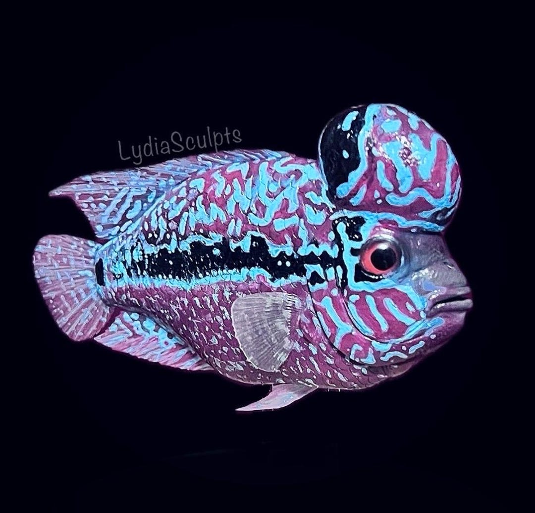 Custom Fish Replicas! Handmade Fish Figurine - Etsy