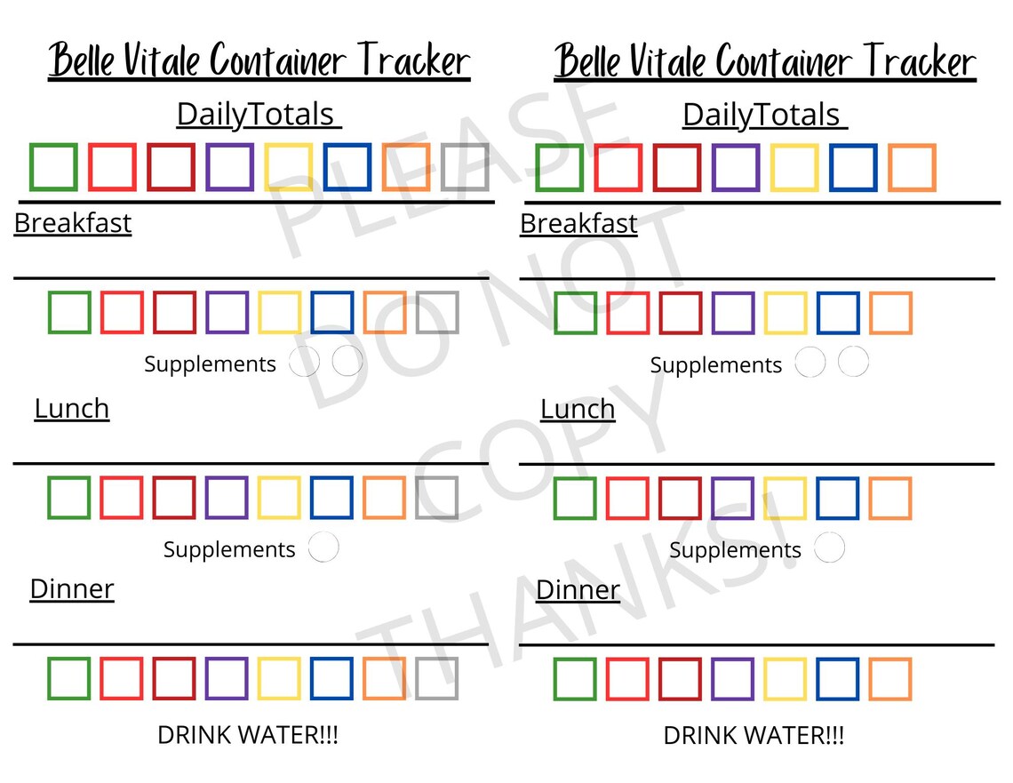Belle Vitale Container Tracking Sheet - Simplified and Easy to Use - Etsy