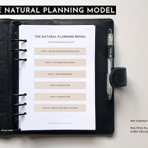 Natural Planning Model Checklist, CEO Set, Planner Divider, Minimal ...