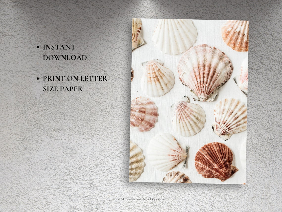 SEASHELL Digital - Minimalist - Planner - Planning Dashboards - Digital ...