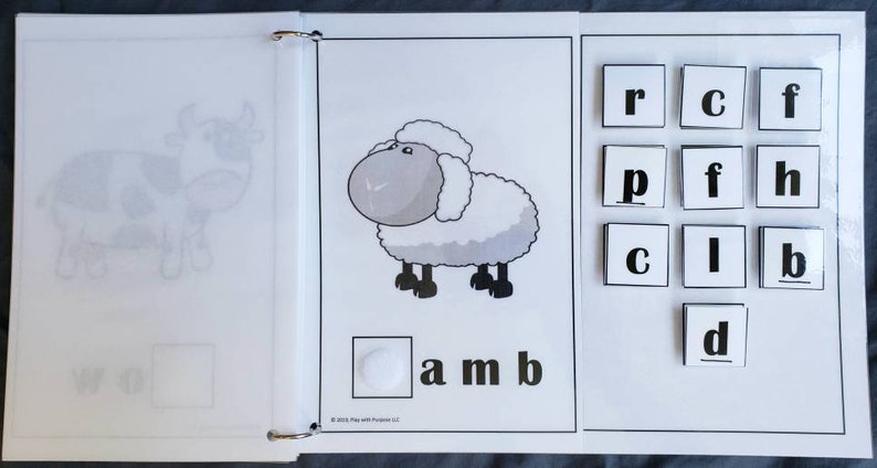 Adapted Book for Beginning Sounds: animal Sounds - Etsy
