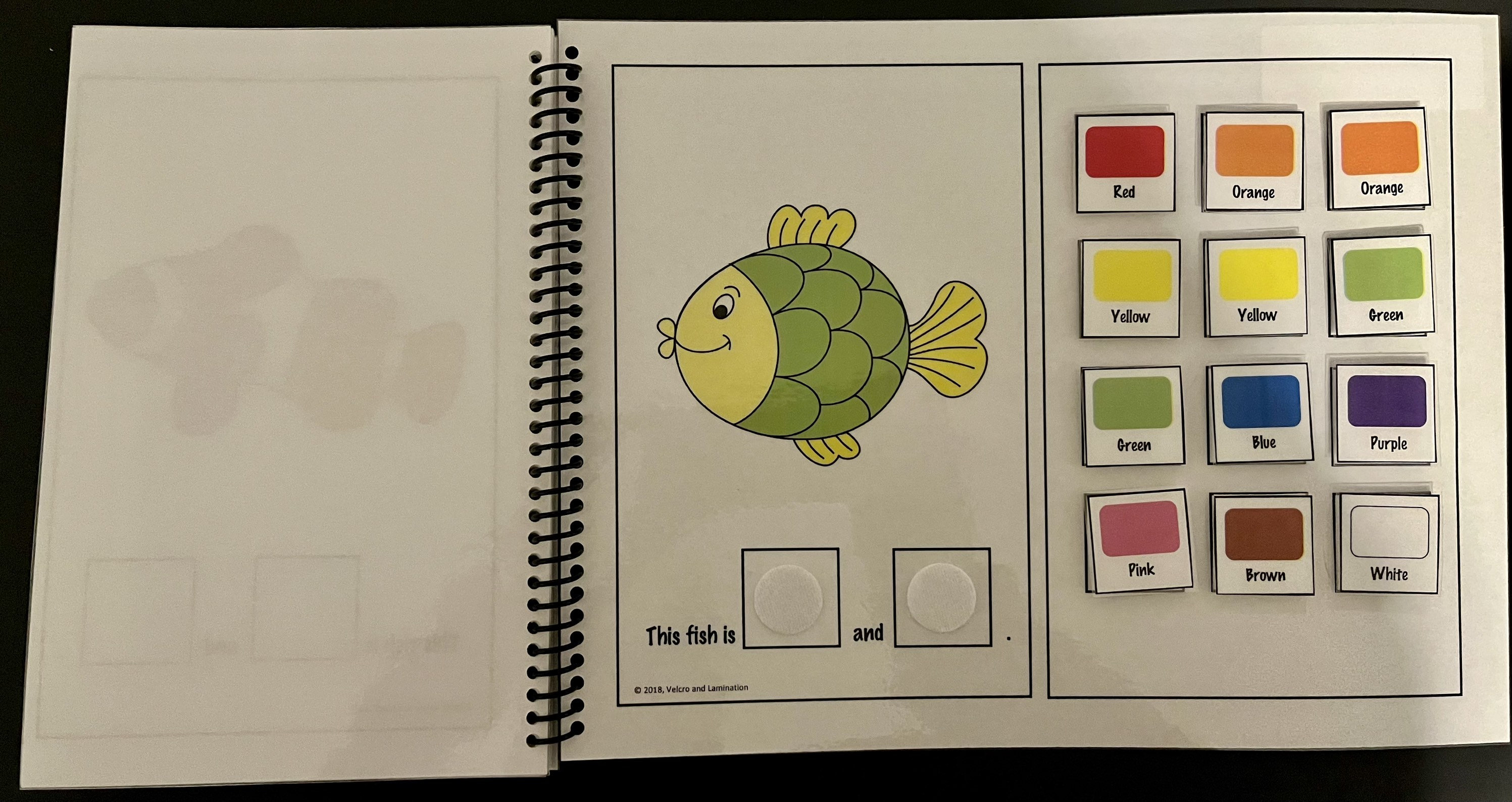 Adapted Book for Color Identification colorful - Etsy