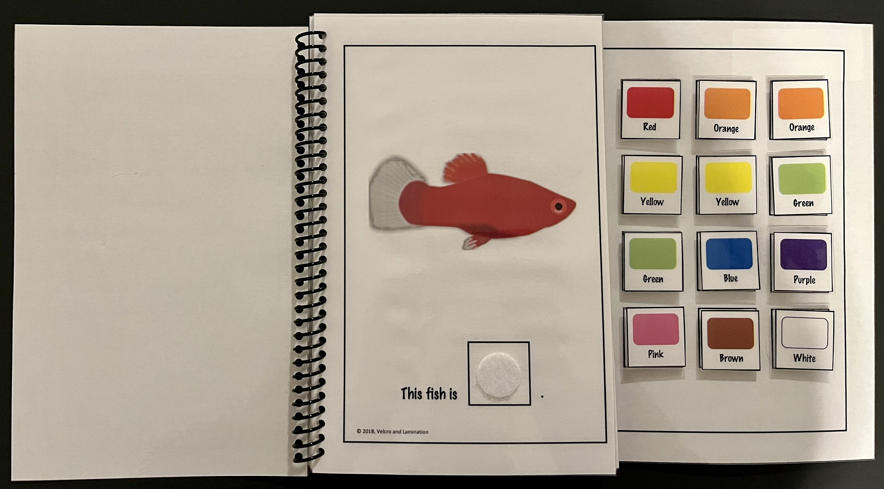 Adapted Book for Color Identification colorful Fish interactive ...