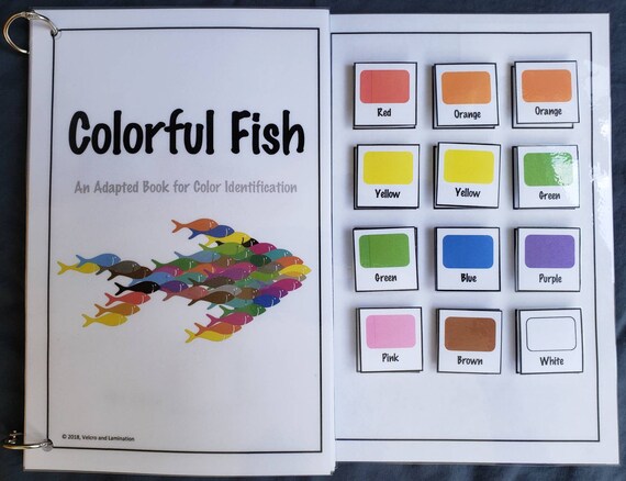 Adapted Book for Color Identification Colorful | Etsy