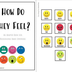 How Do They Feel? an Adapted Book for Identifying Basic Emotions ...