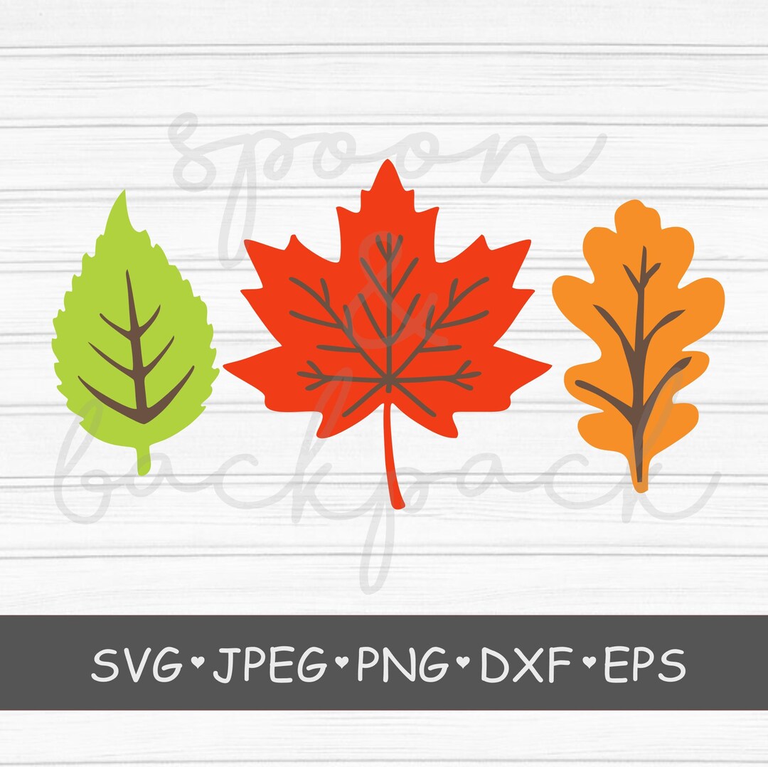 Digital Fall Leaves Cut File, Svg-eps-png-jpeg-dxf Cut File, Leaf Cut ...