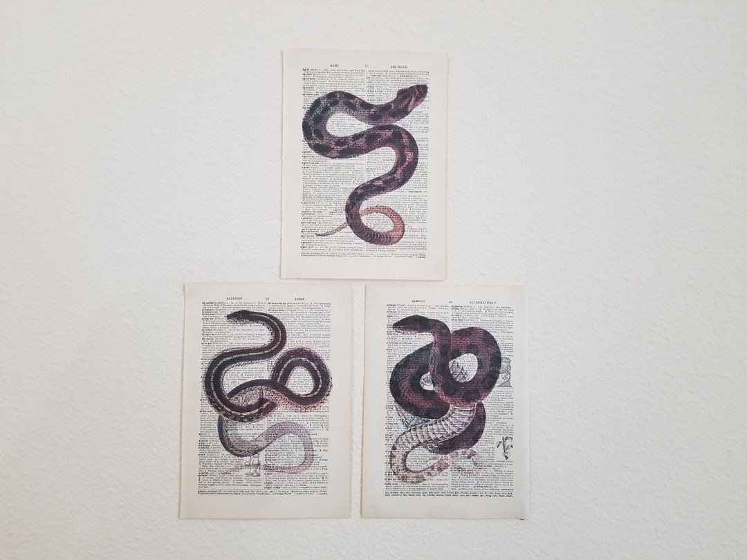 Snake Wall Art, Dictionary, Words, Elegant and Mysterious, Old Vintage ...