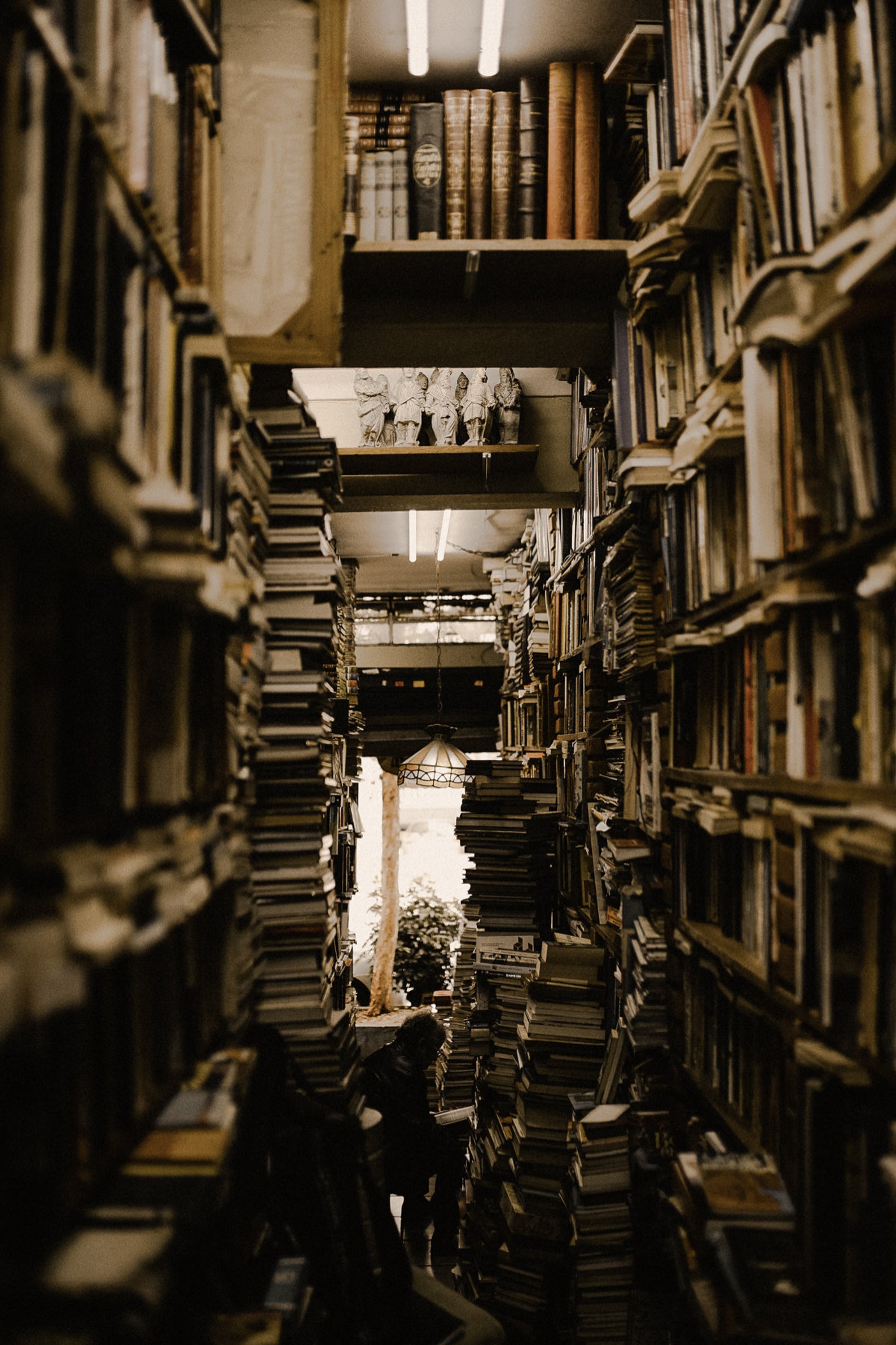 35 Dark Academia Aesthetic Collage, Library, Books, Bibliophile Gift ...