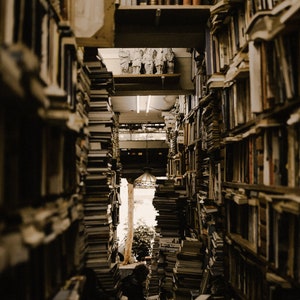 35 Dark Academia Aesthetic Collage, Library, Books, Bibliophile Gift ...