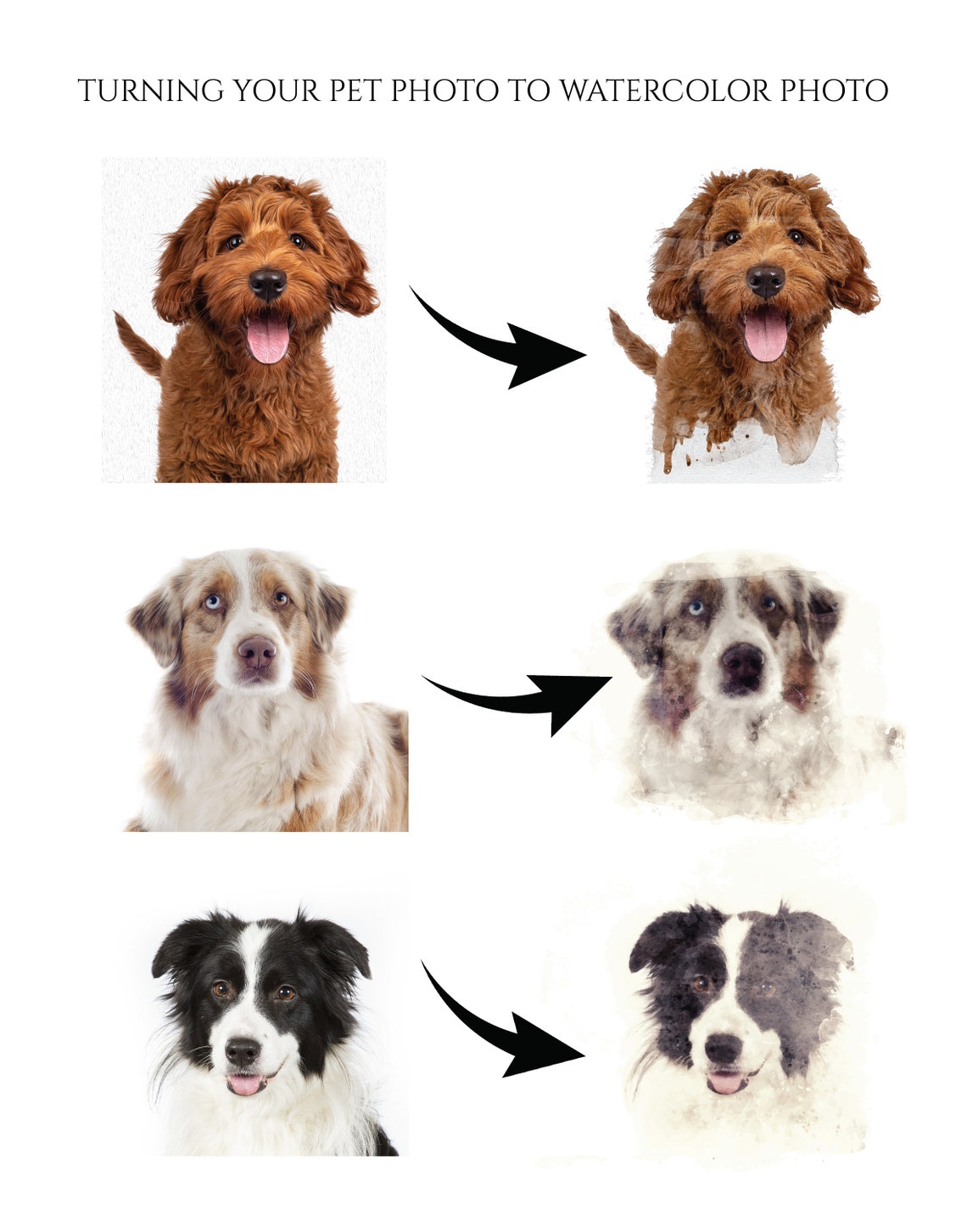 Two Pets Two Drinks Dog Bar Sign Pet Signature Drink Sign - Etsy