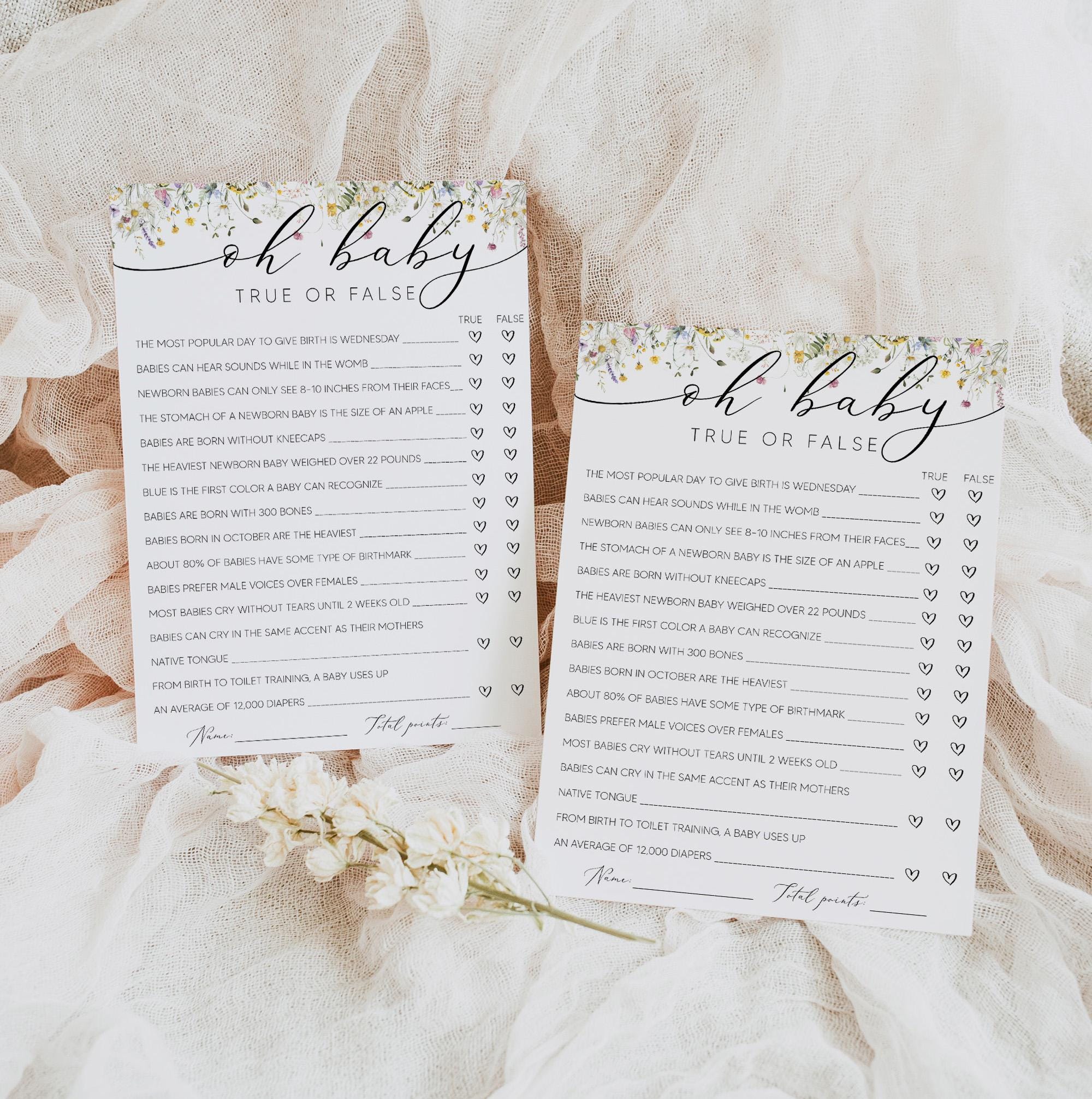 Wildflower True or False Baby Shower Game, Oh Baby True or False Game ...