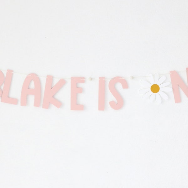 Daisy Party Decorations - Etsy