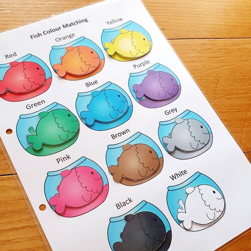 Color Matching Color Activity Learning Colors Toddler - Etsy